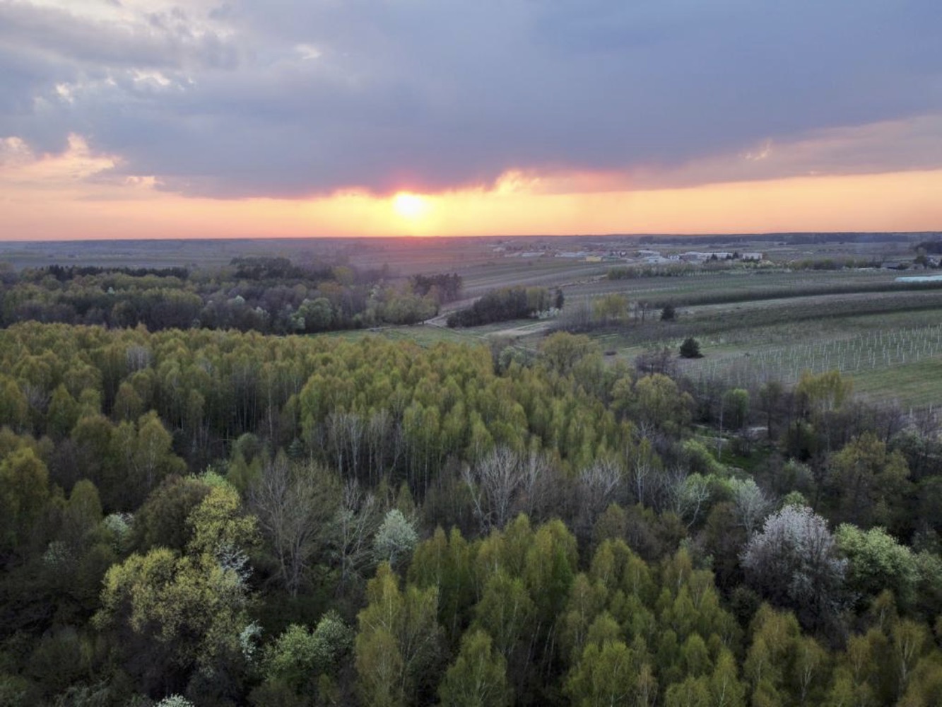 Borowe – dom na odludziu | NaOdludziu.pl